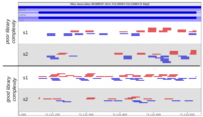 QC Fail Sequencing » Libraries can contain technical duplication