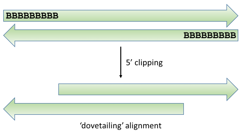 QC Fail Sequencing » Mispriming in PBAT libraries causes methylation ...